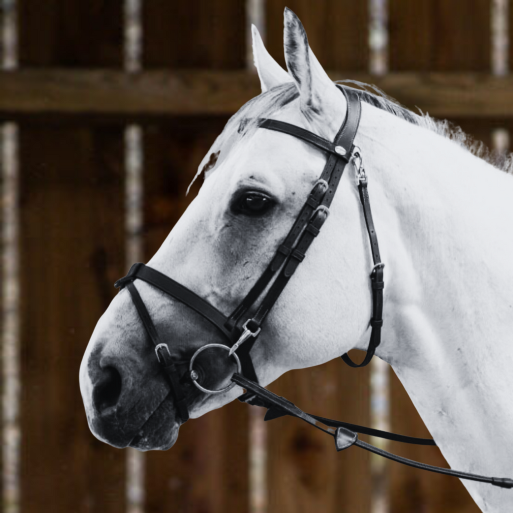 Dy'on - Working Flat Leather Bridle with Snap Hooks - Black – The Rider ...